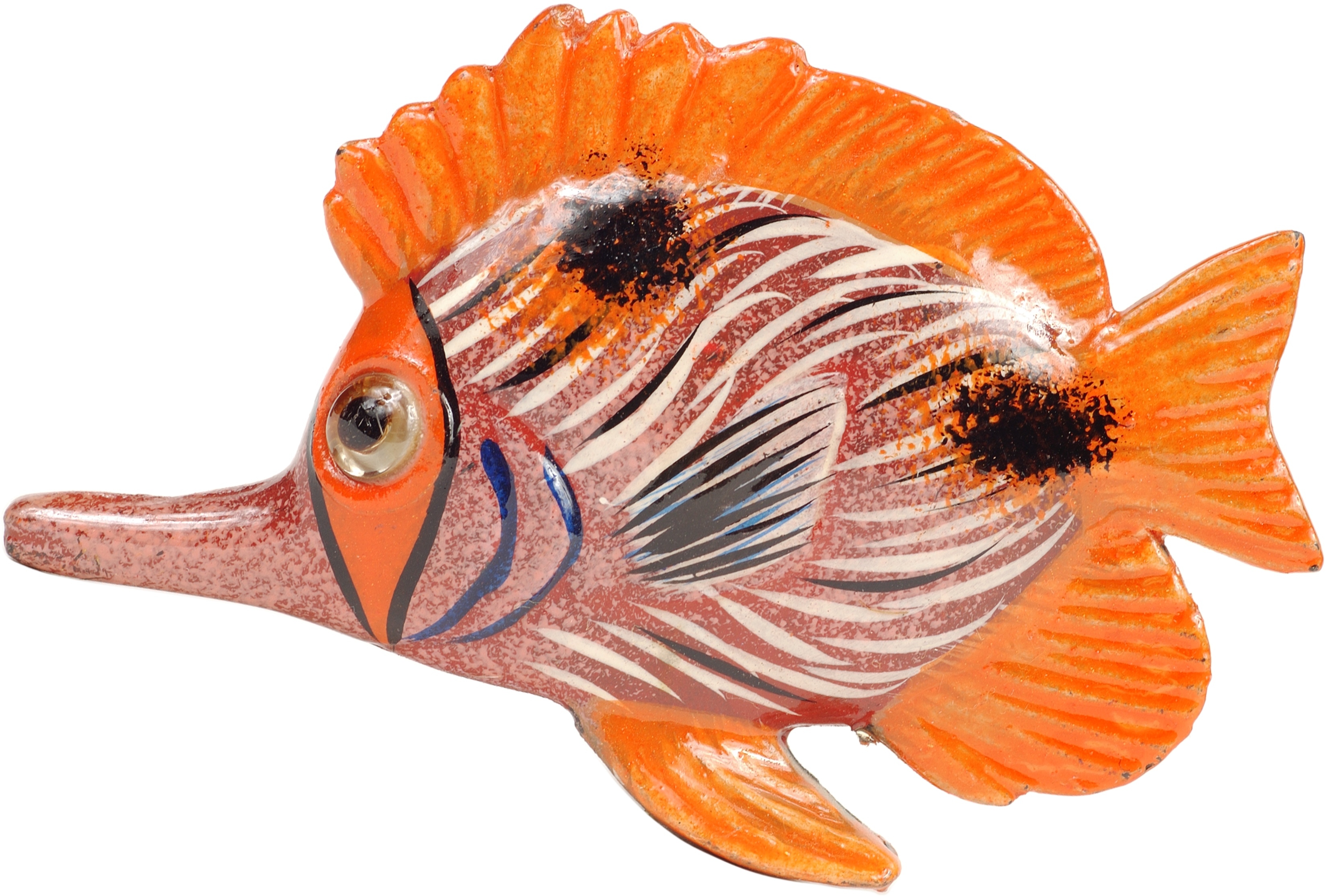 How To Make A 3 D Fish Model Sciencing
