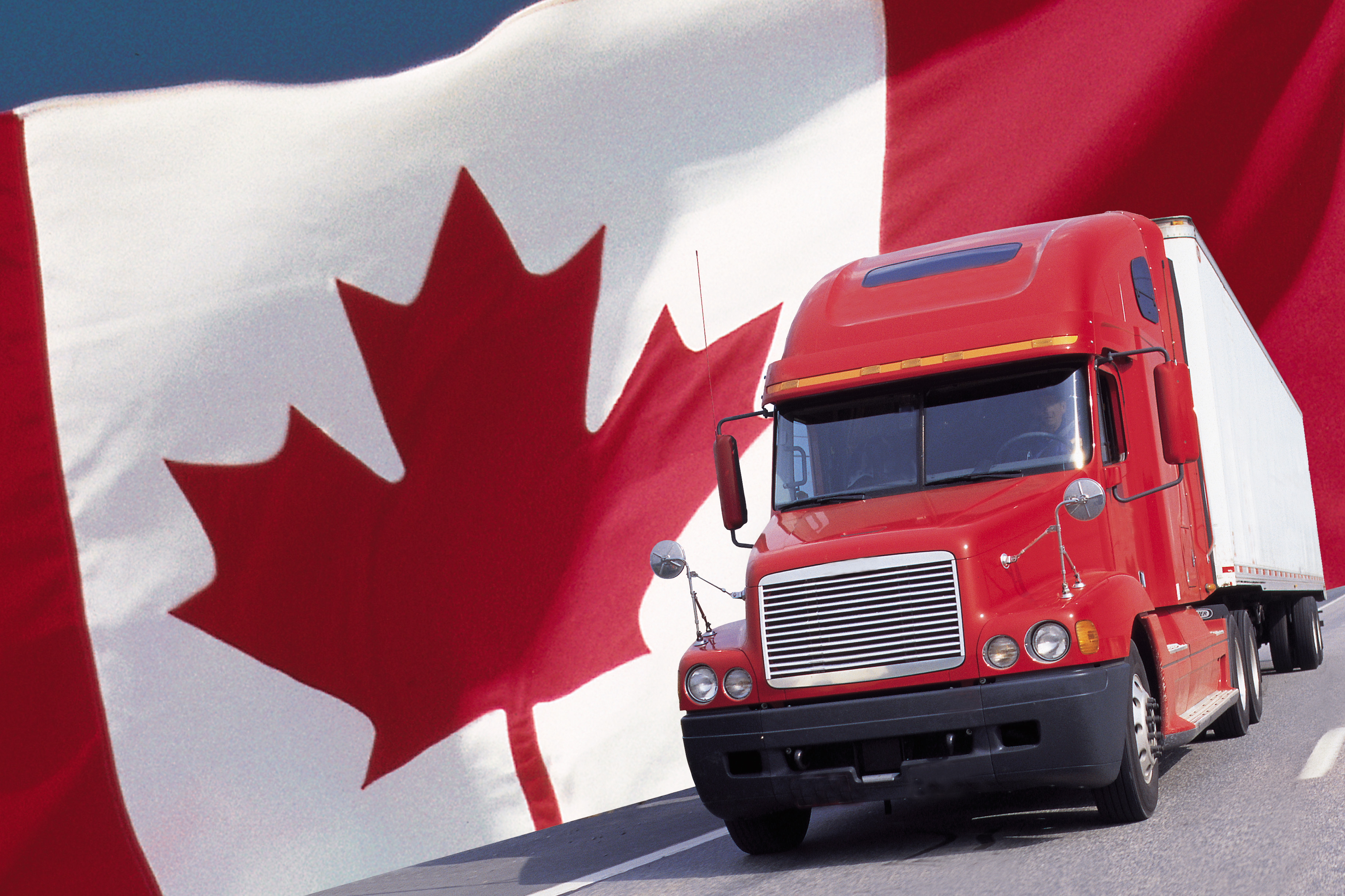 What Does The Maple Leaf On The Canadian Flag Represent Synonym