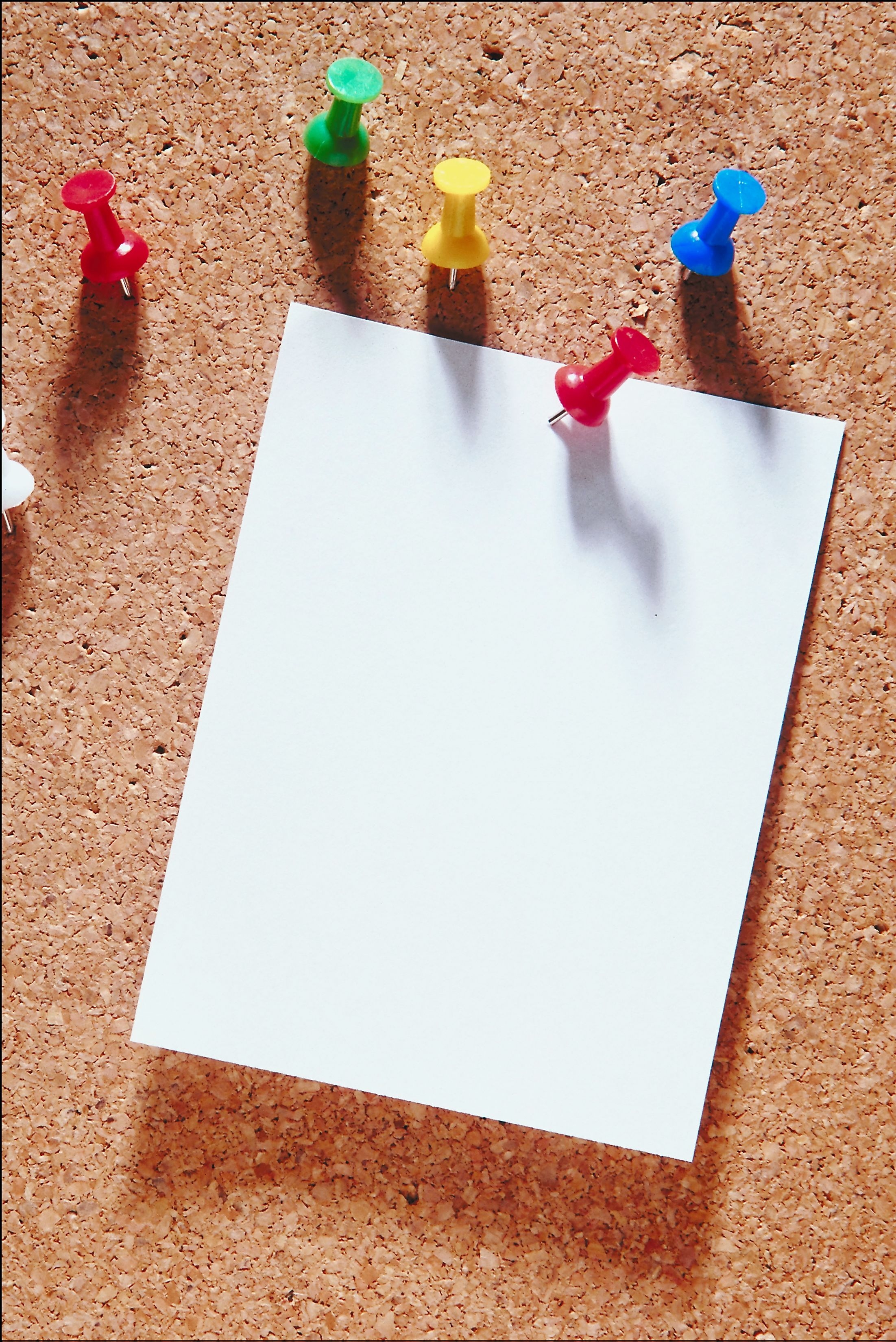 Sample Company Bulletin Boards