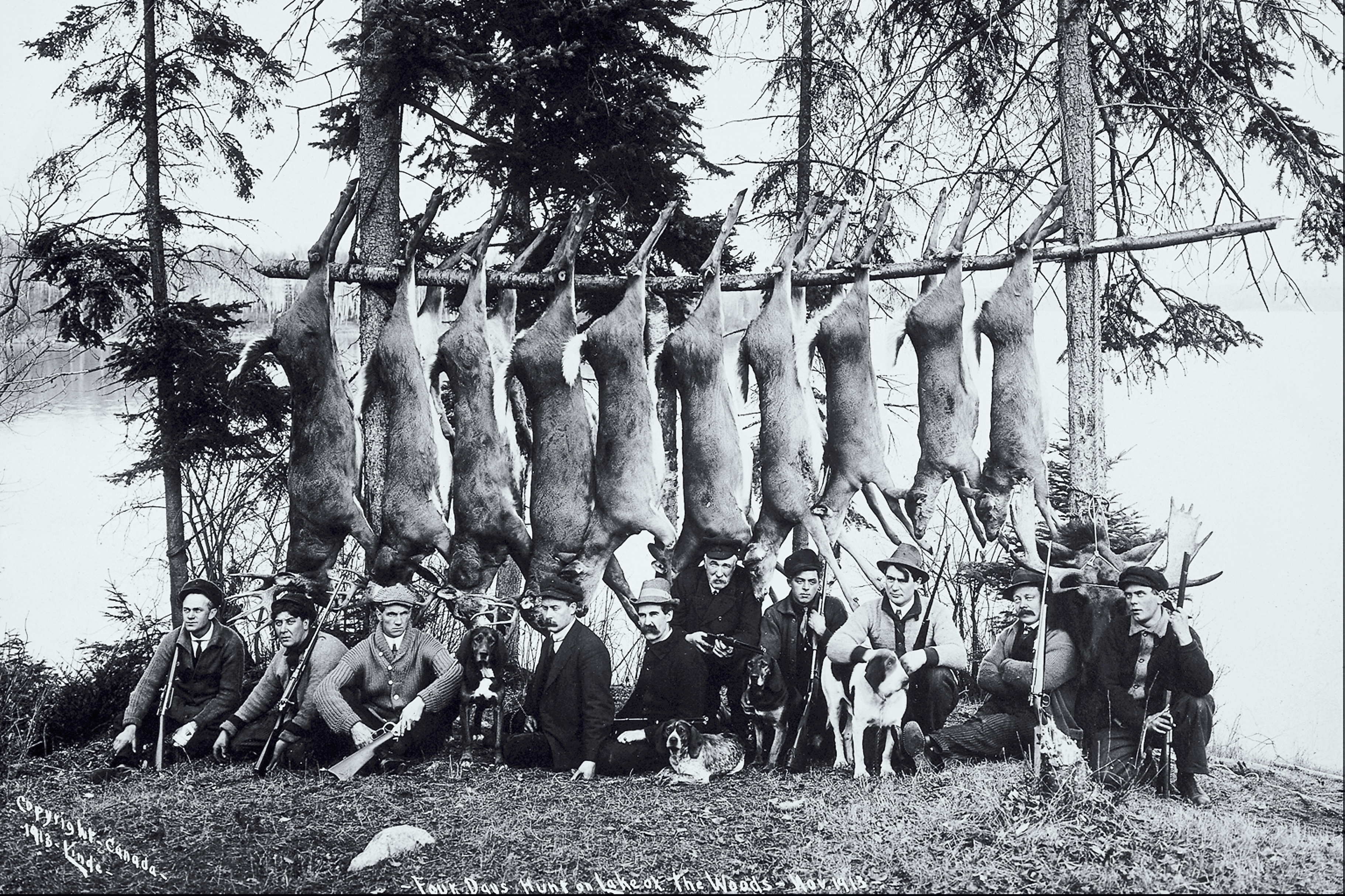 How Does Hunting Affect The Environment Sciencing how-does-hunting-affect-the-environment-sciencing