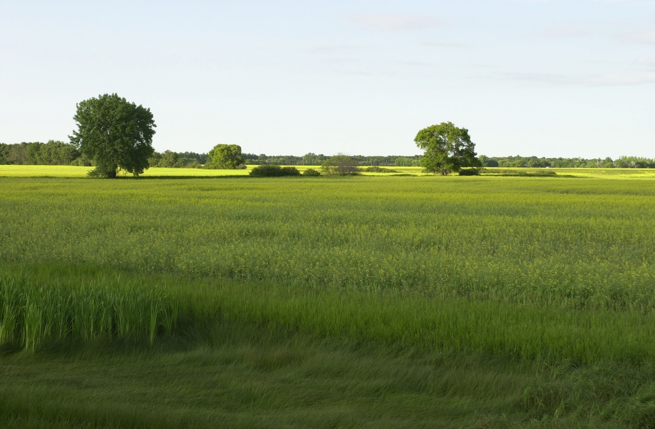 Landforms And Natural Resources Of The Coastal Plain Sciencing