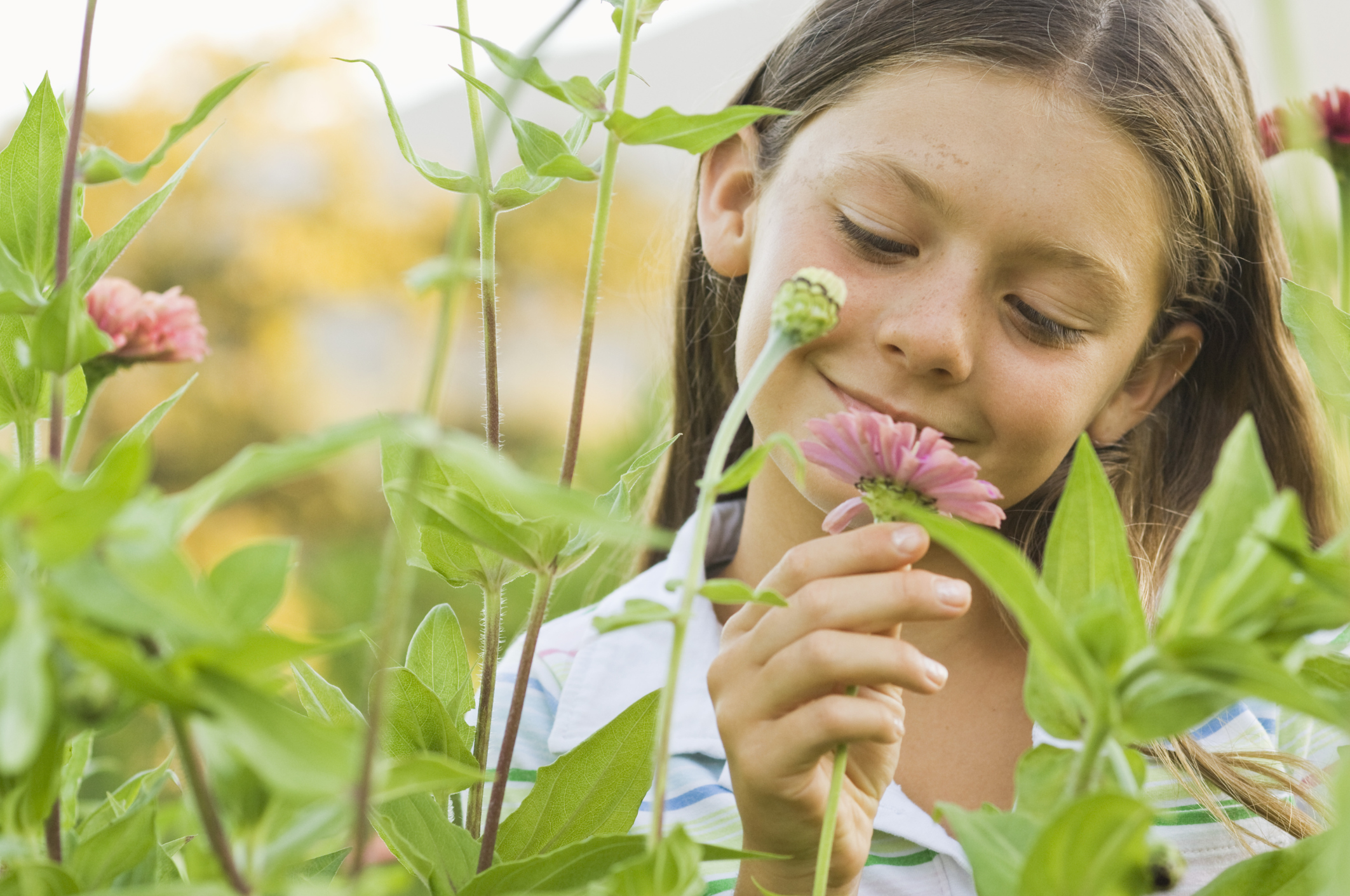 Does Physical Development Influence Children s Emotional Development How To Adult does-physical-development-influence-children-s-emotional-development-how-to-adult