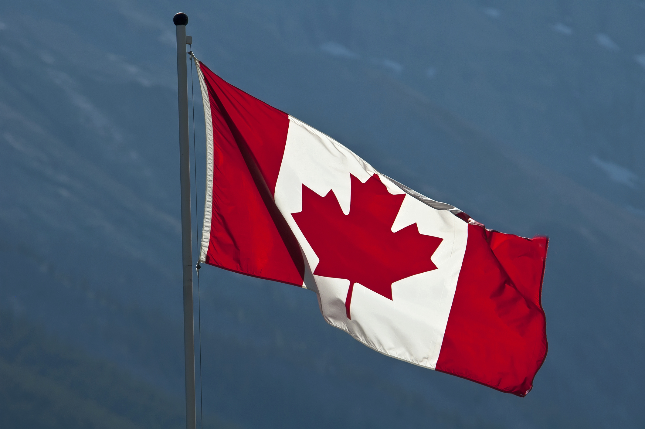 Why Is The Maple Leaf A Canadian Symbol Synonym