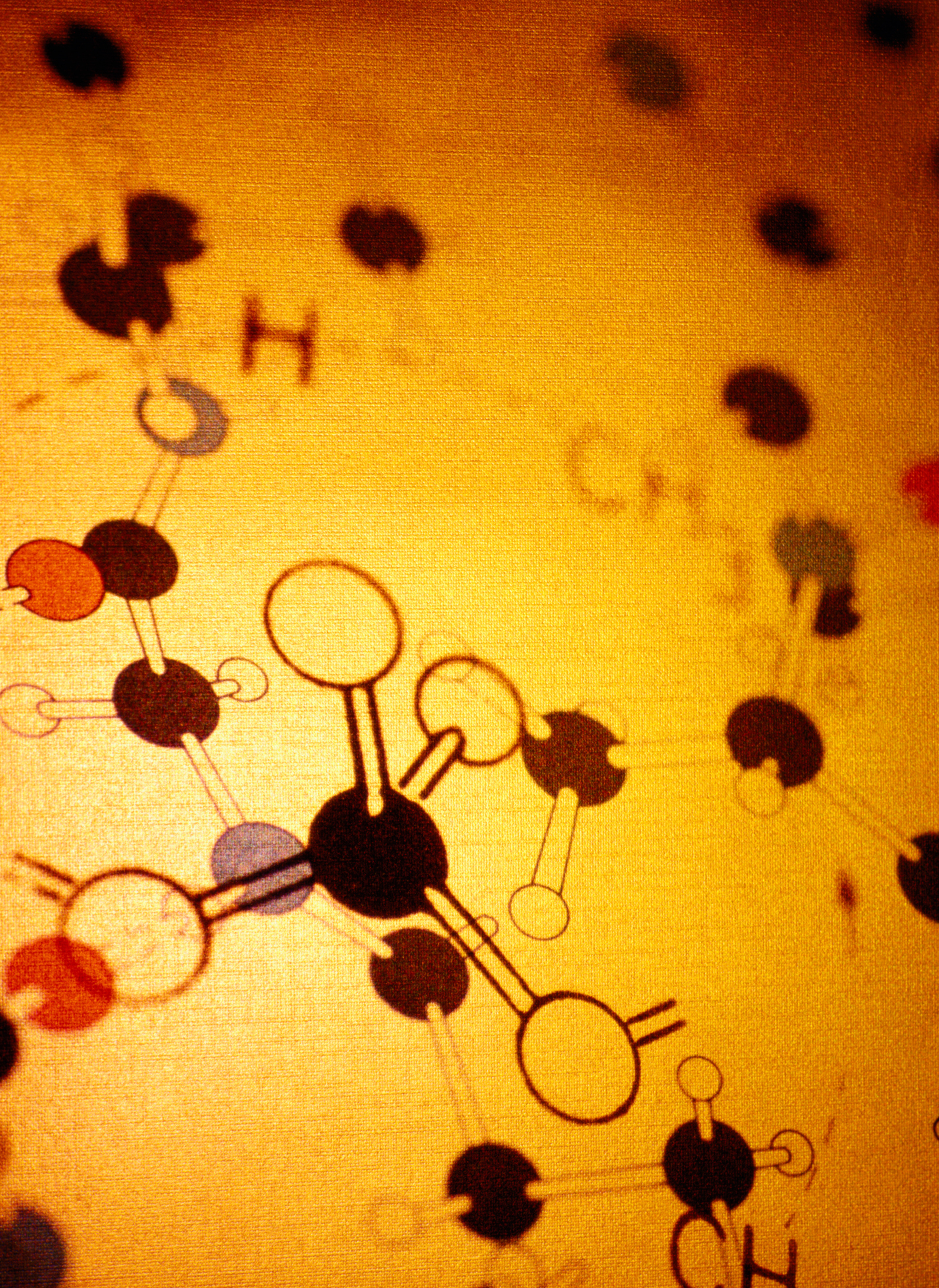 How To Explain Polarity Sciencing