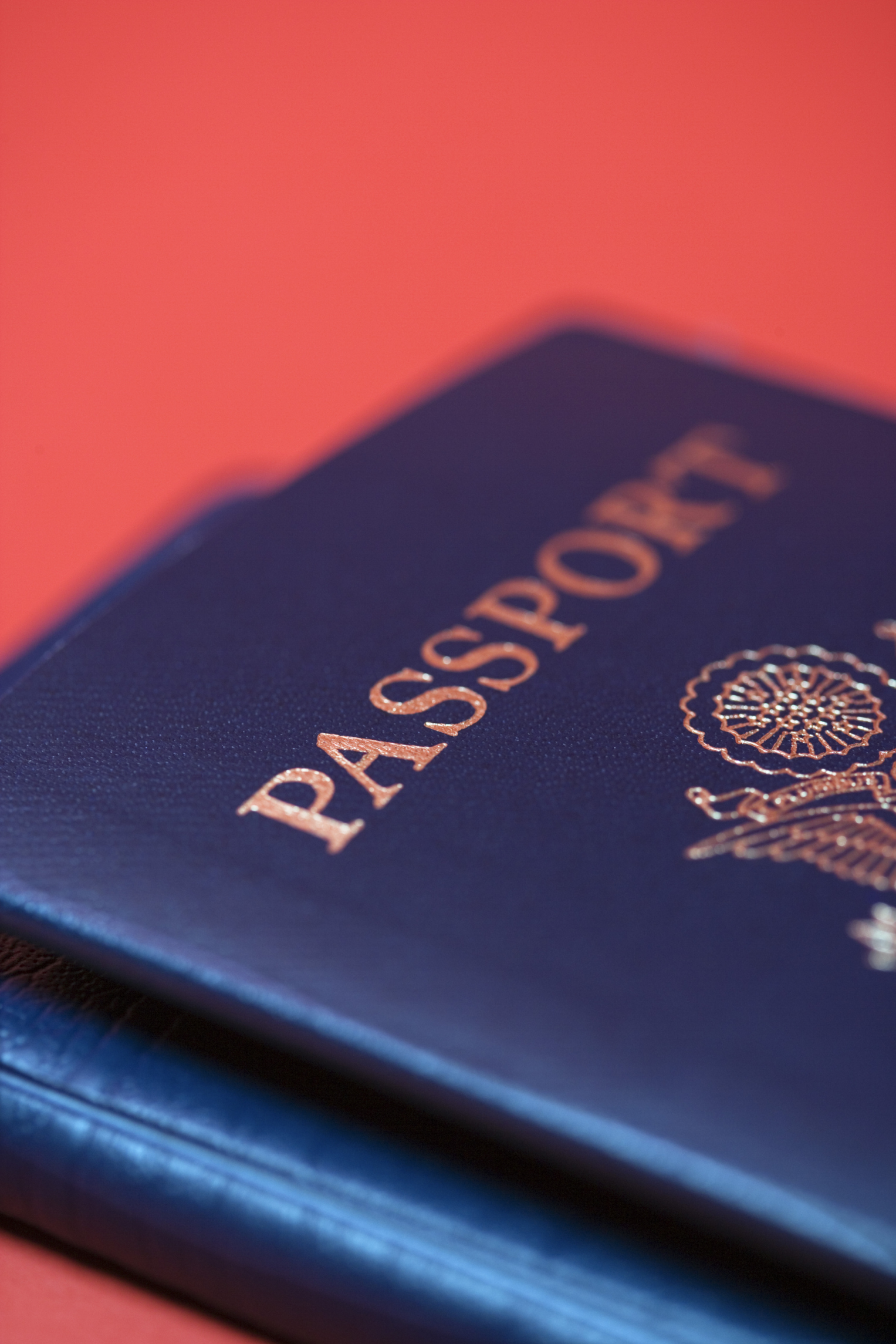 How To Find A Passport Number USA Today