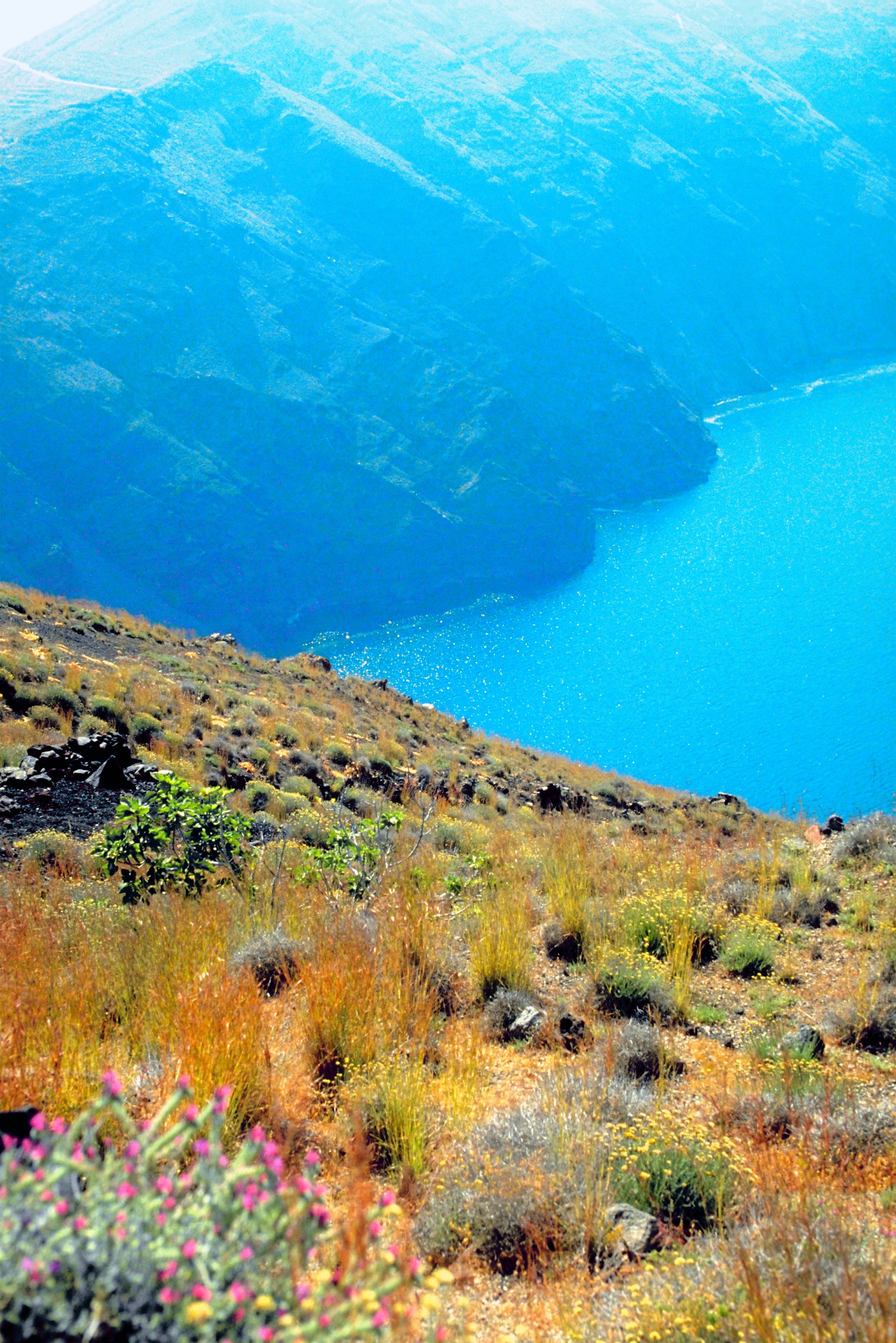 Biotic Components Of Ecosystems Sciencing