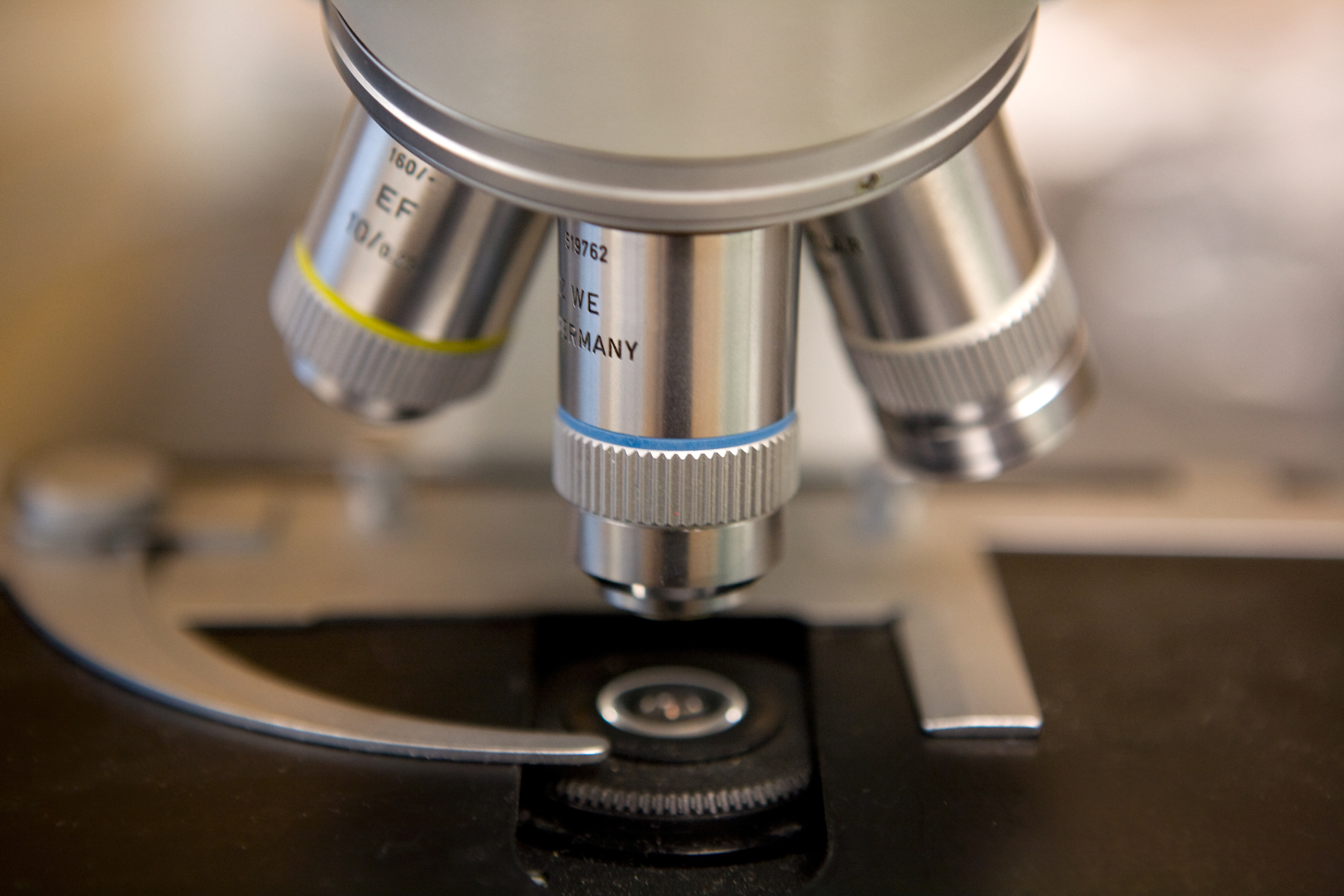 Diferencia Entre Microscopio Compuesto Y Microscopio De Disecci n 