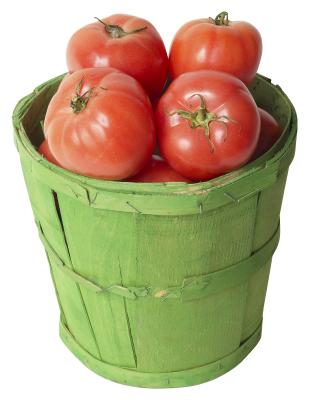 How to Care for an Italian Tomato Tree | Home Guides | SF Gate