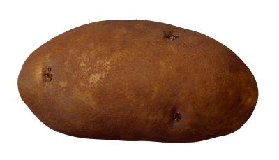 How to Plant a Russet Potato | Home Guides | SF Gate