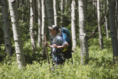 Types de sauvages, fruits rouges