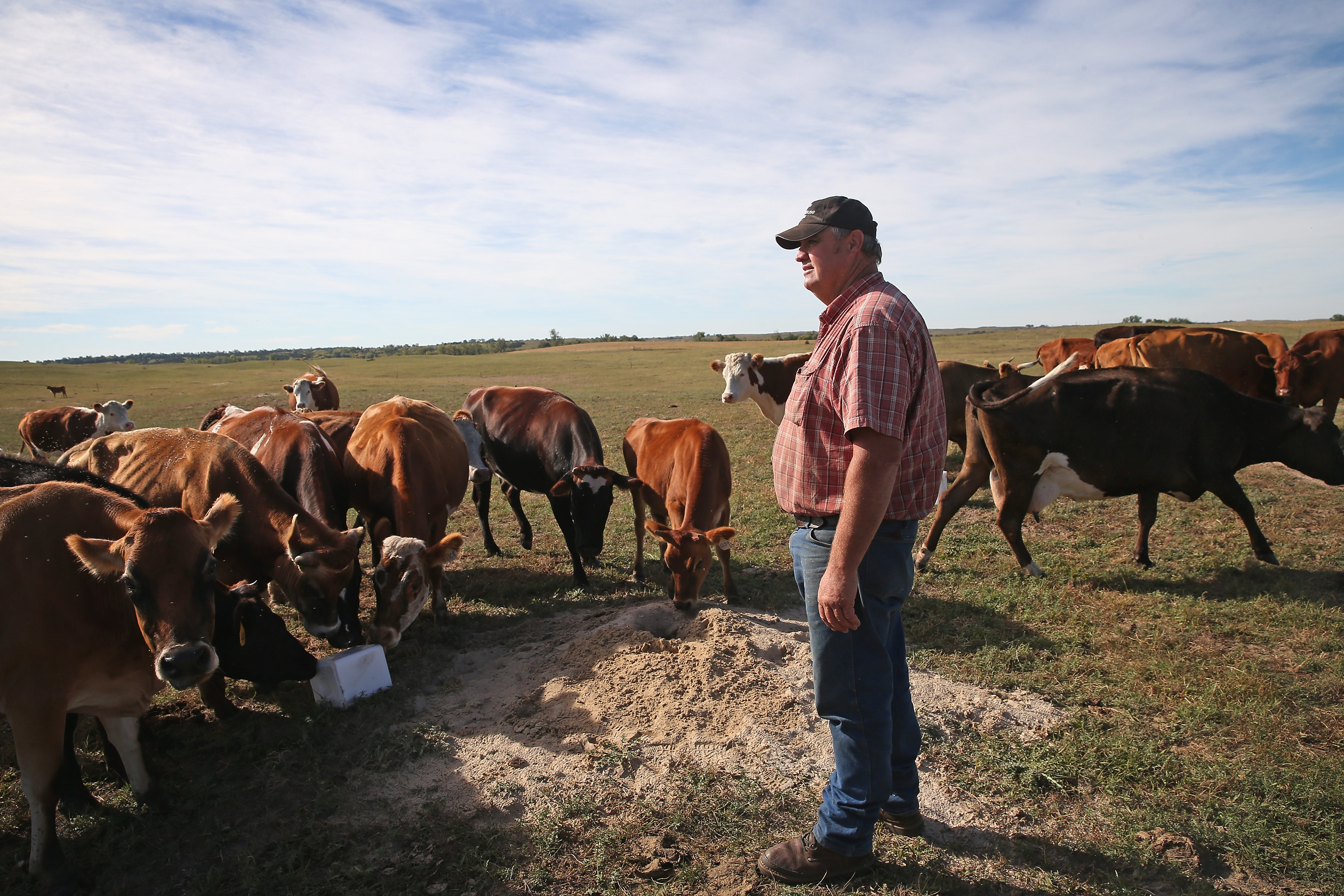 What Are the Benefits of Agriculture and Farmers? | Sciencing