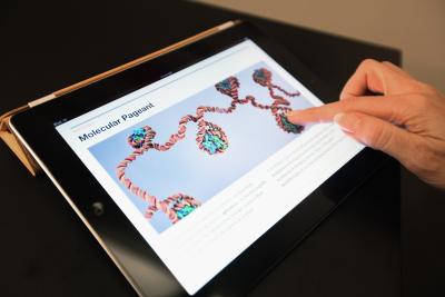 How To Add Spellcheck To Wordpad