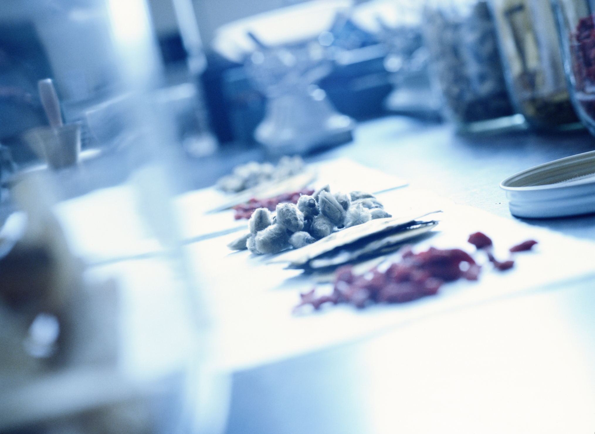 Ingredients in Matol KM | Healthfully